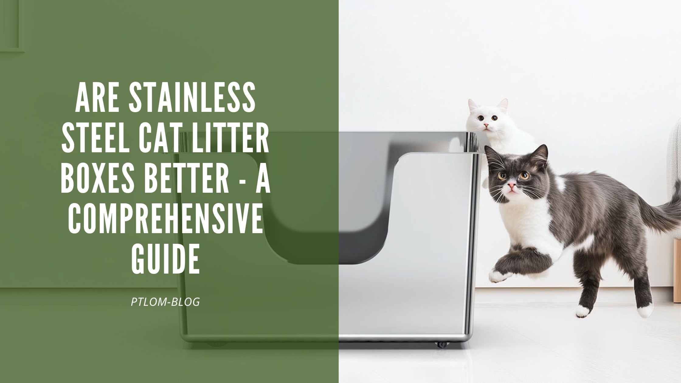 Are Stainless Steel Cat Litter Boxes Better - A Comprehensive Guide – PTLOM