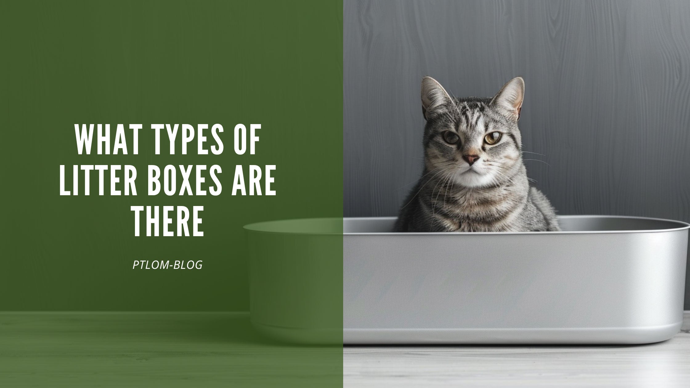 What types of litter boxes are there – PTLOM